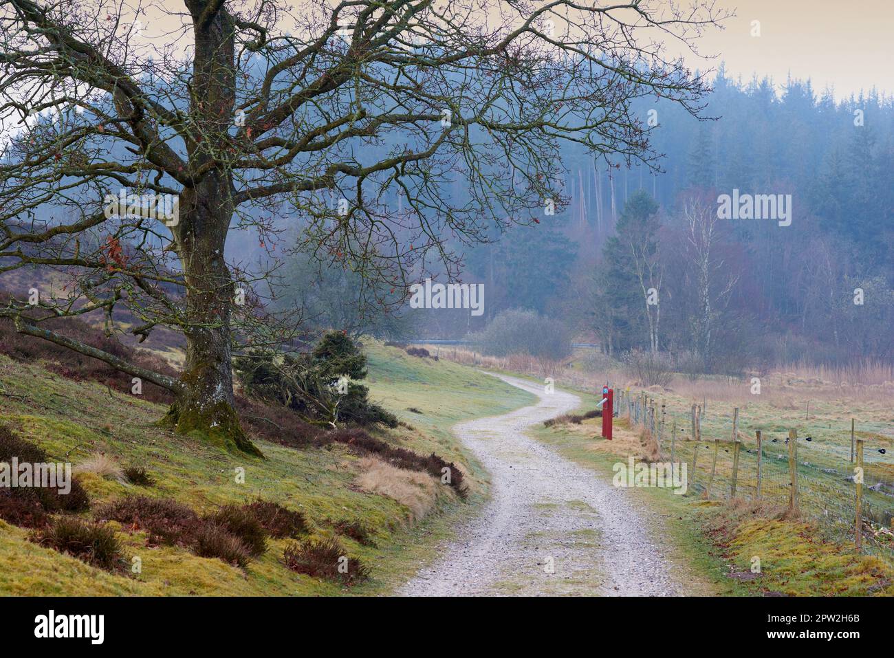 Long Winding Dirt Road