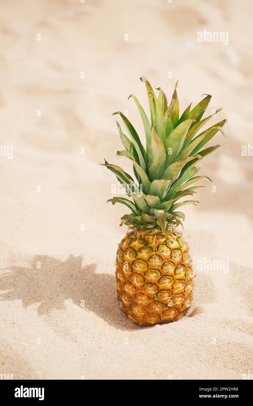 Exotic Pineapple fruit symbol of summer standing in beach sand healthy ...