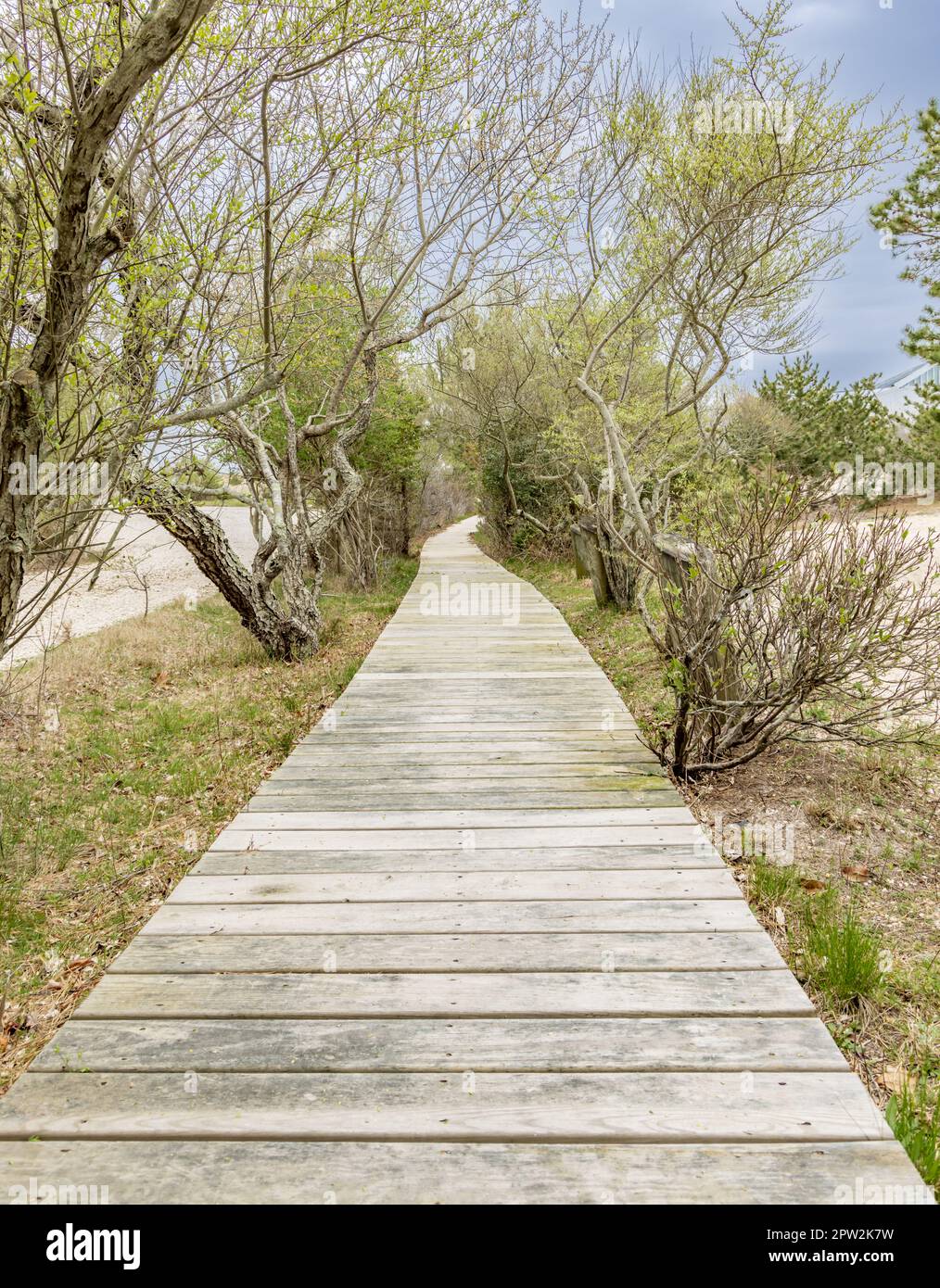 wooden boardwalk that leads to an ocean beach in the hamptons Stock ...