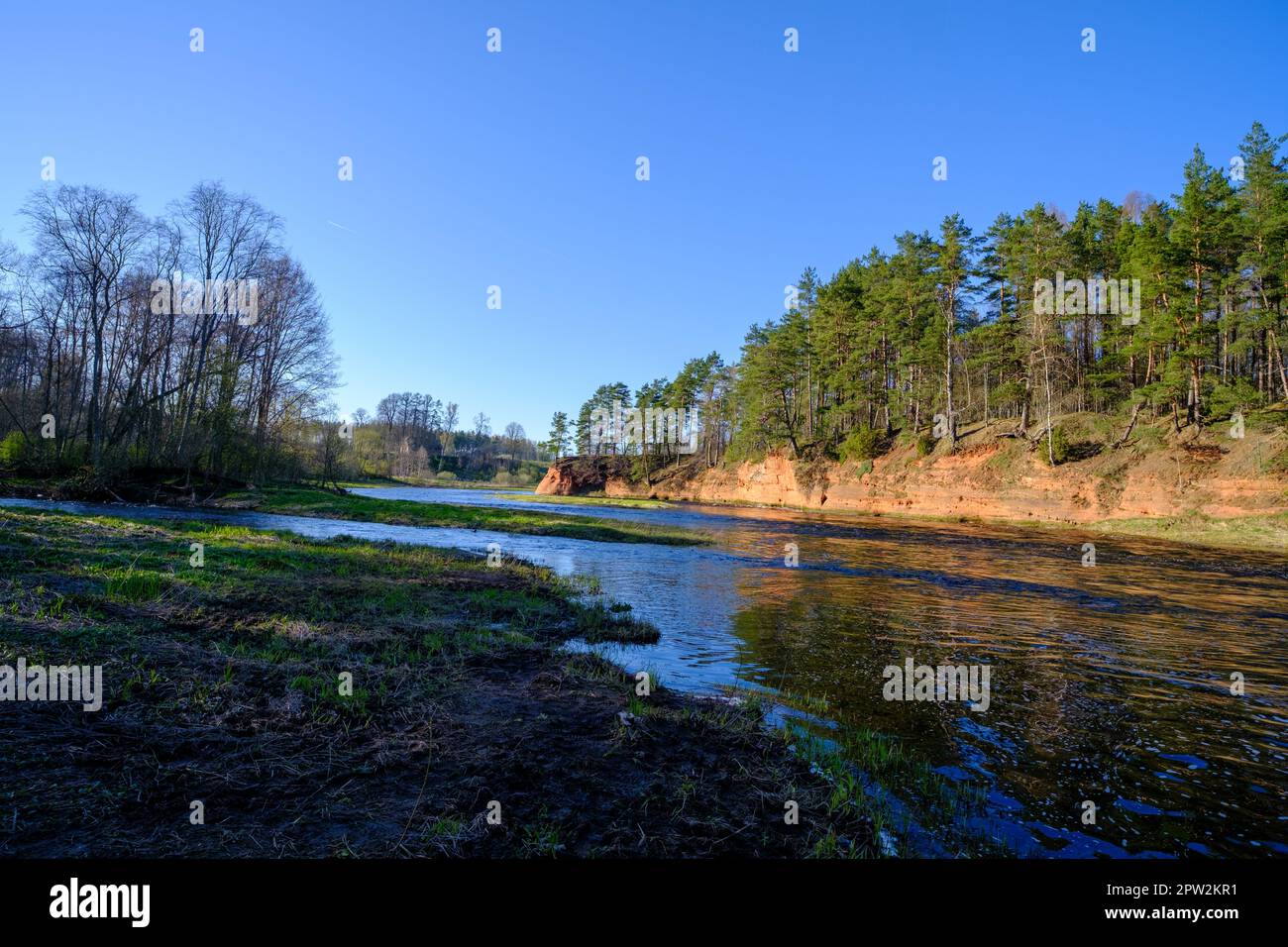 The red banks of sandstone. Salaca River, Red Cliffs, Latvia Stock ...