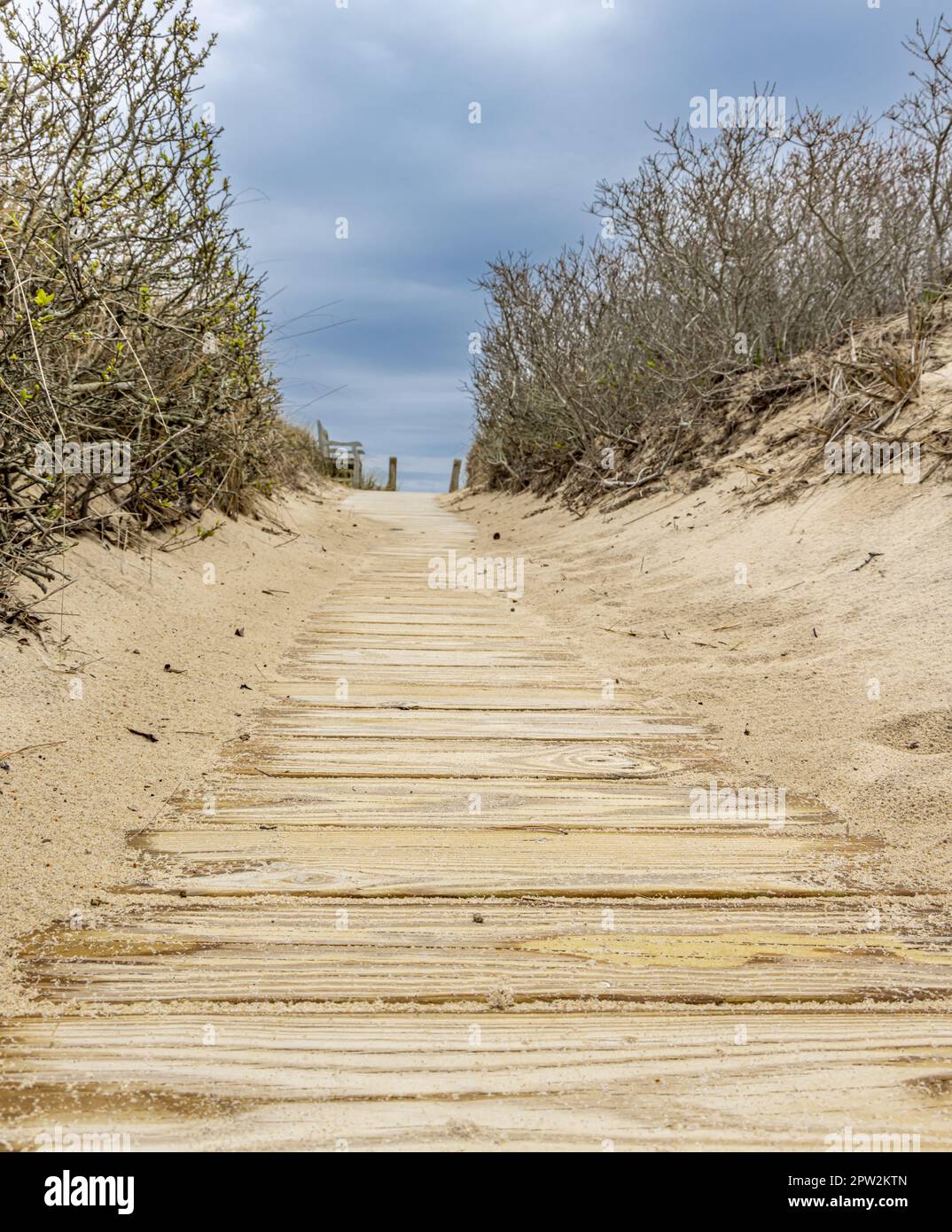 wooden boardwalk that leads to an ocean beach in the hamptons Stock ...