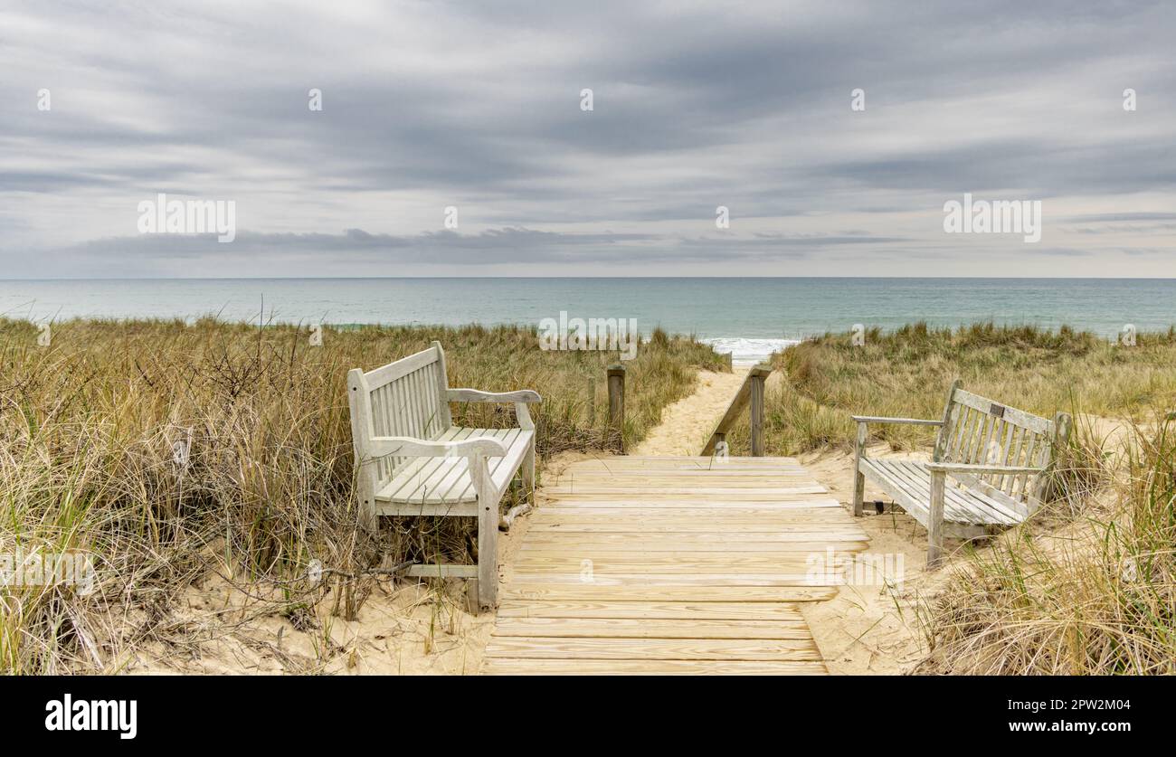 Two facing benches and a boardwalk to the ocean in Amagansett, NY Stock ...