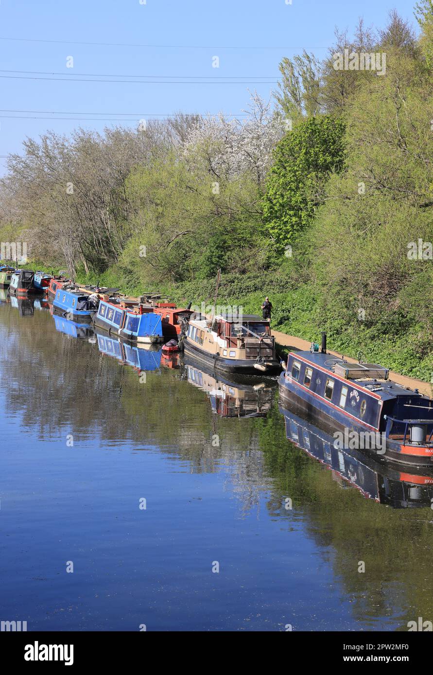 The towpath along the River Lea Navigation in Hackney, in spring ...