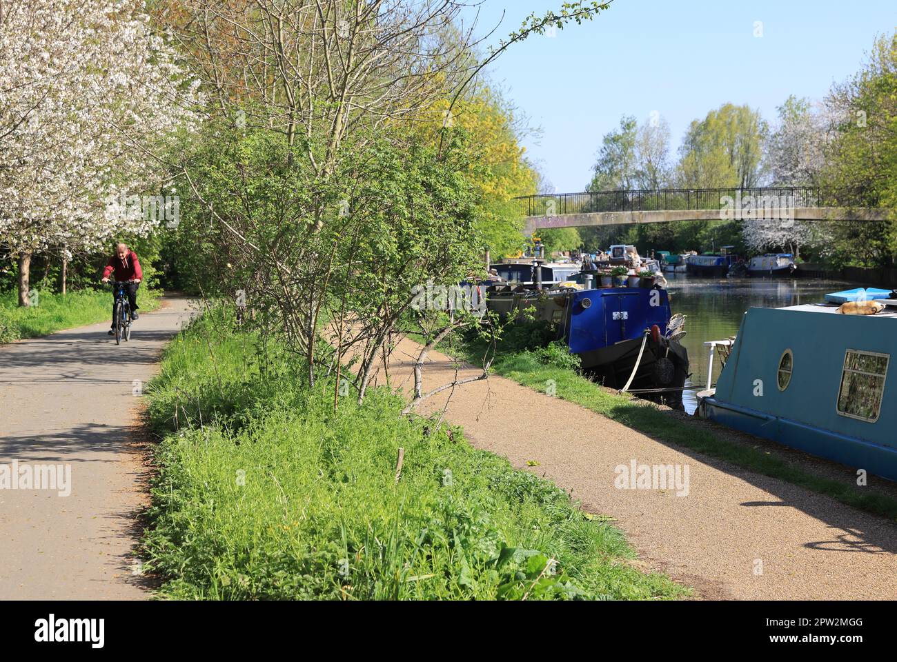 The towpath along the River Lea Navigation in Hackney, in spring ...