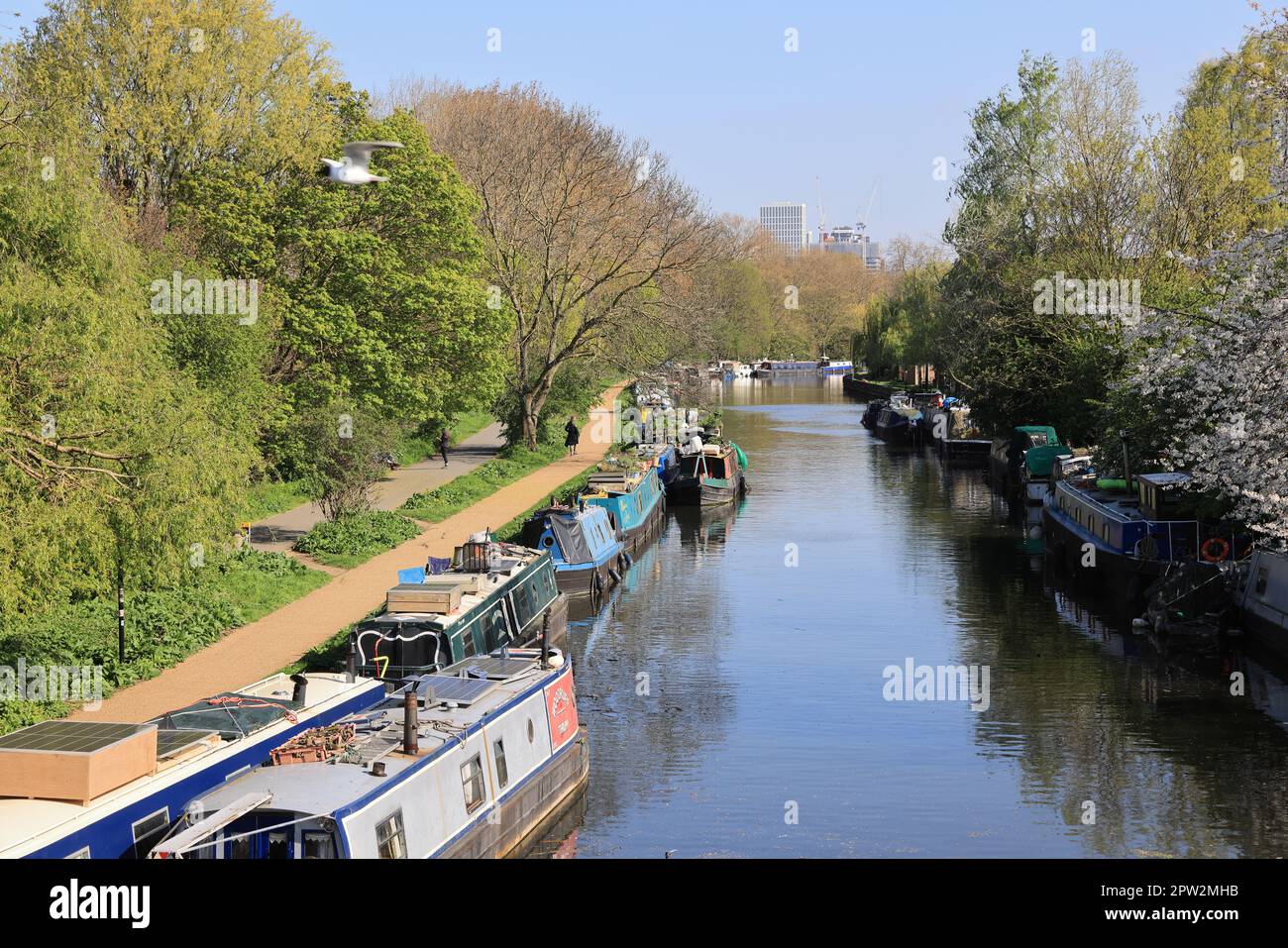 The towpath along the River Lea Navigation in Hackney, in spring ...