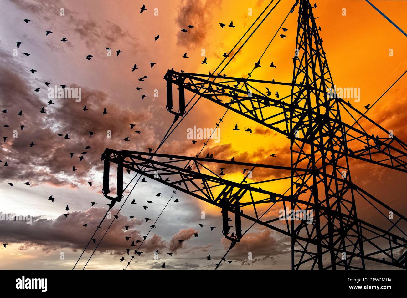 A high voltage pylon with startled birds against dramatic sky with ...