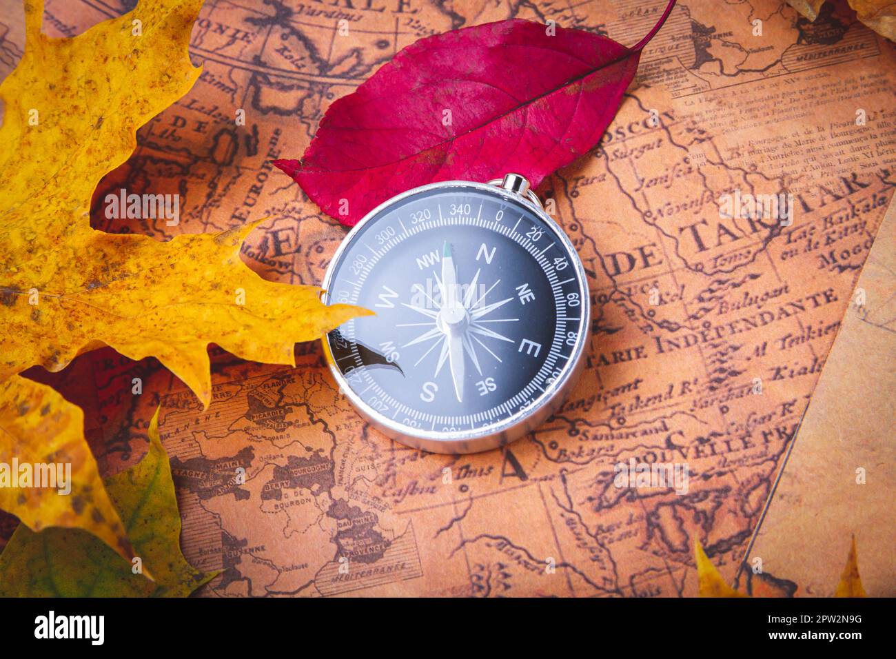 Traveler's compass on map in bright multi-colored autumn leaves ...