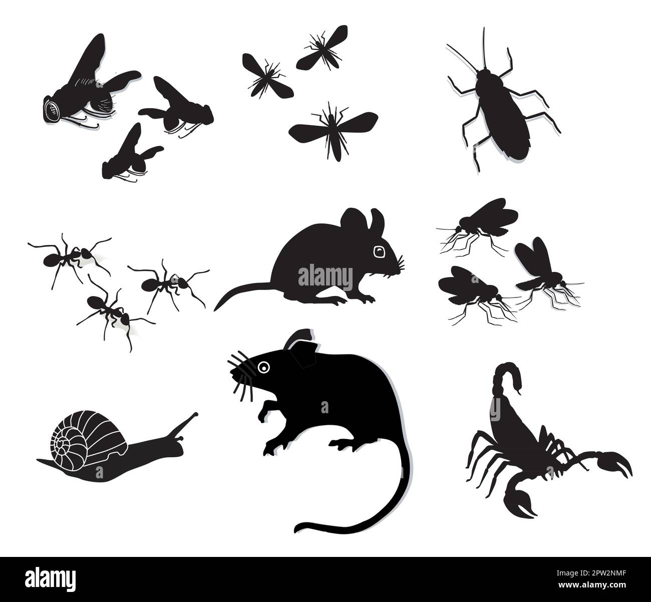Bugs and pests, isolated on white, illustration Stock Vector Image ...