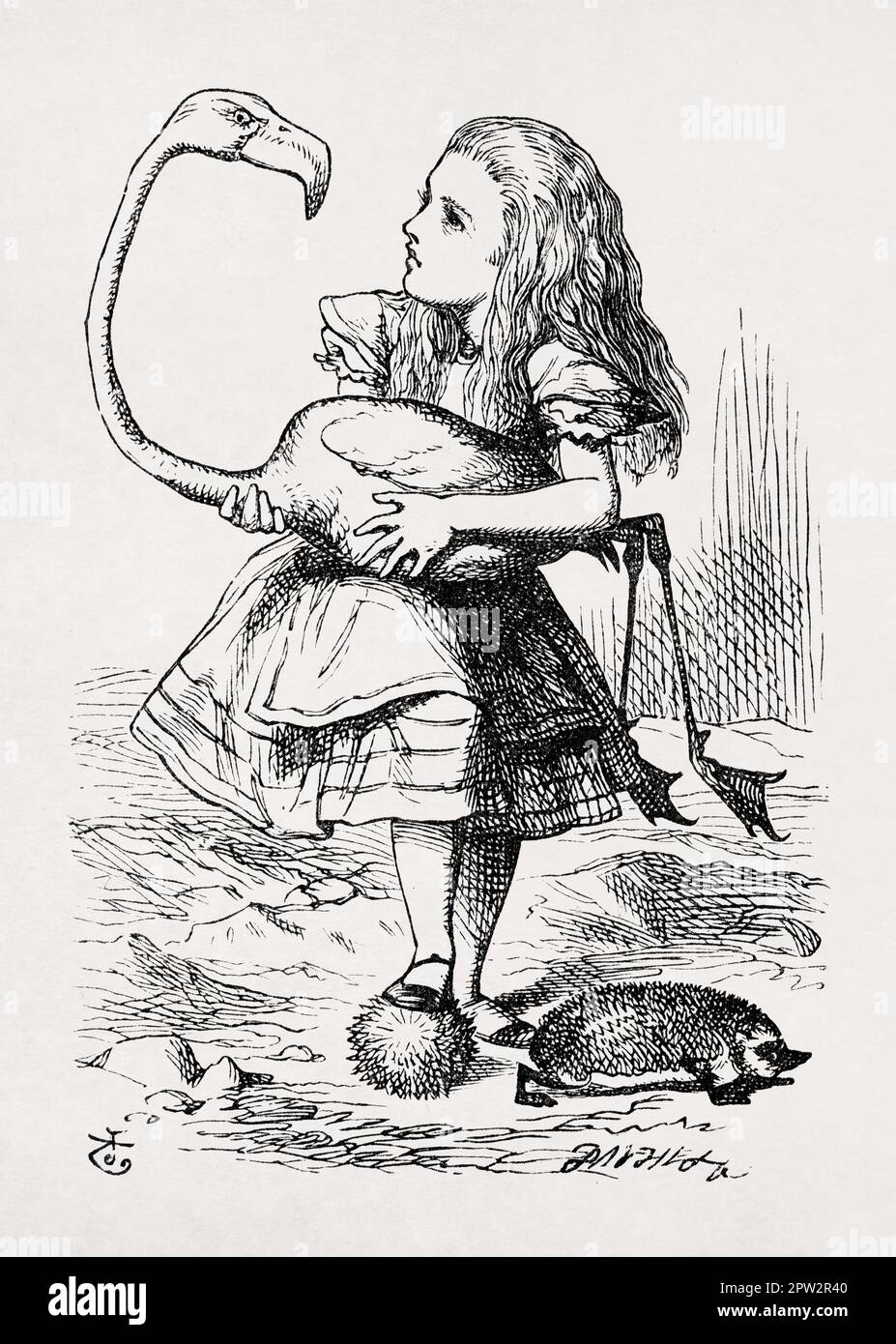 Illustration by John Tenniel of Alice trying to play croquet with a ...