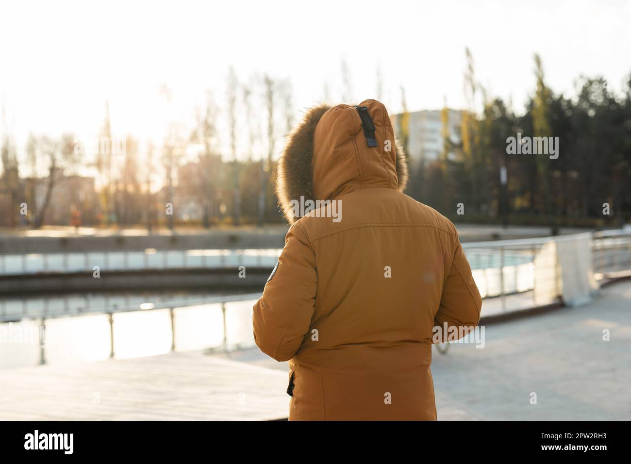 Back view of man in warm clothing and hood walking in winter park ...