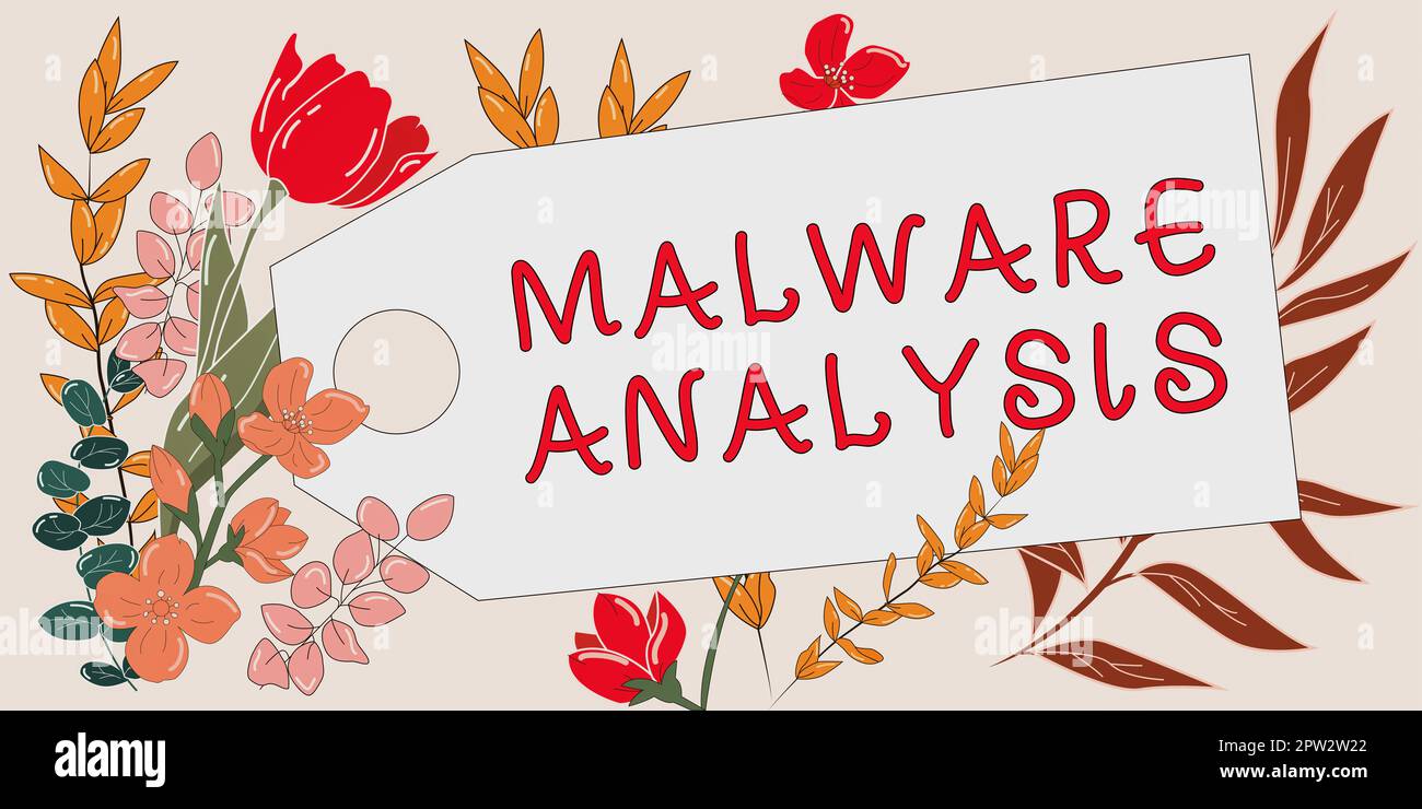 Text showing inspiration Malware Analysis, Word Written on performs ...