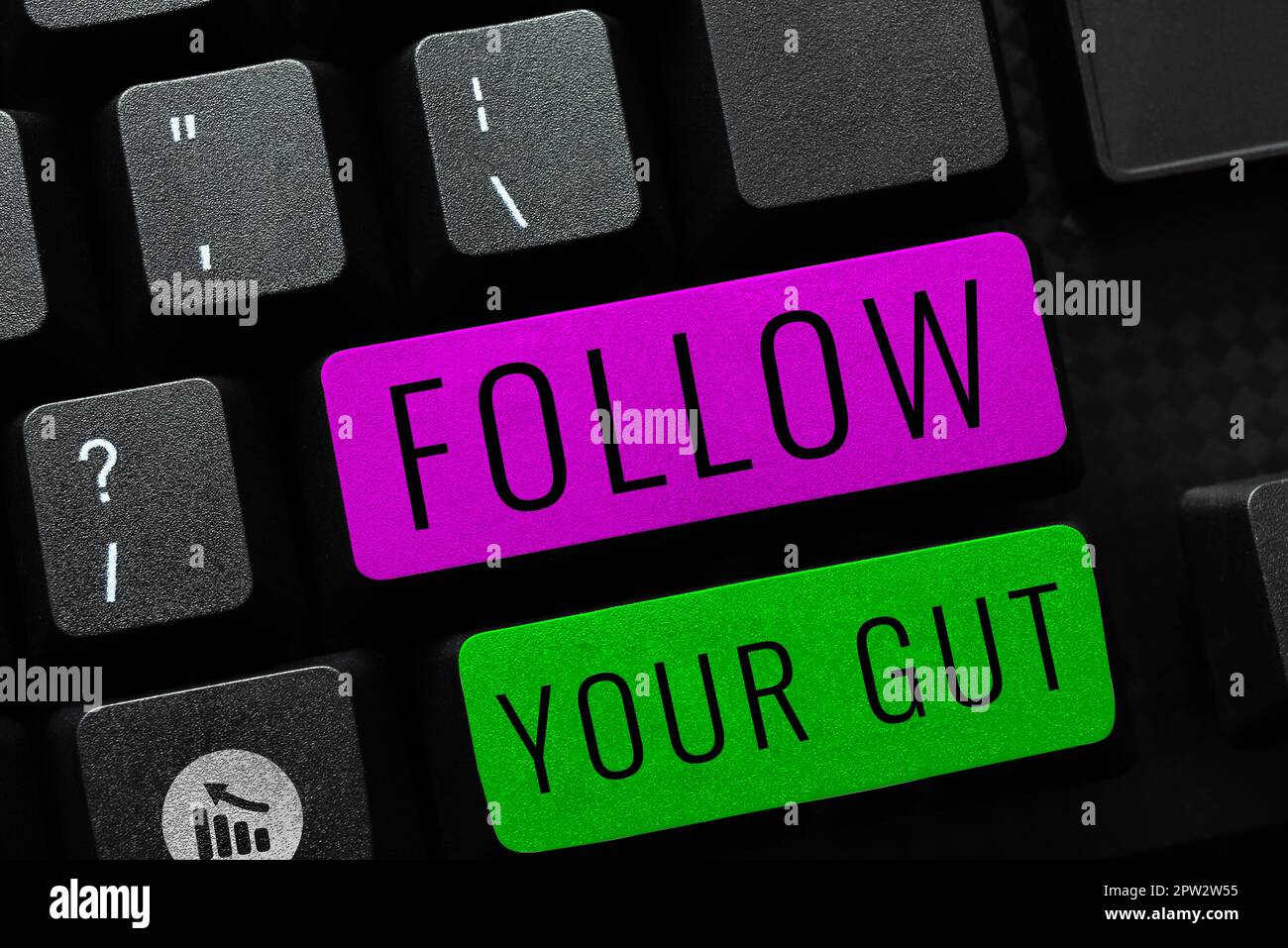 Sign displaying Follow Your Gut, Word Written on Listen to intuition ... Sign displaying Follow Your Gut, Word Written on Listen to intuition ...