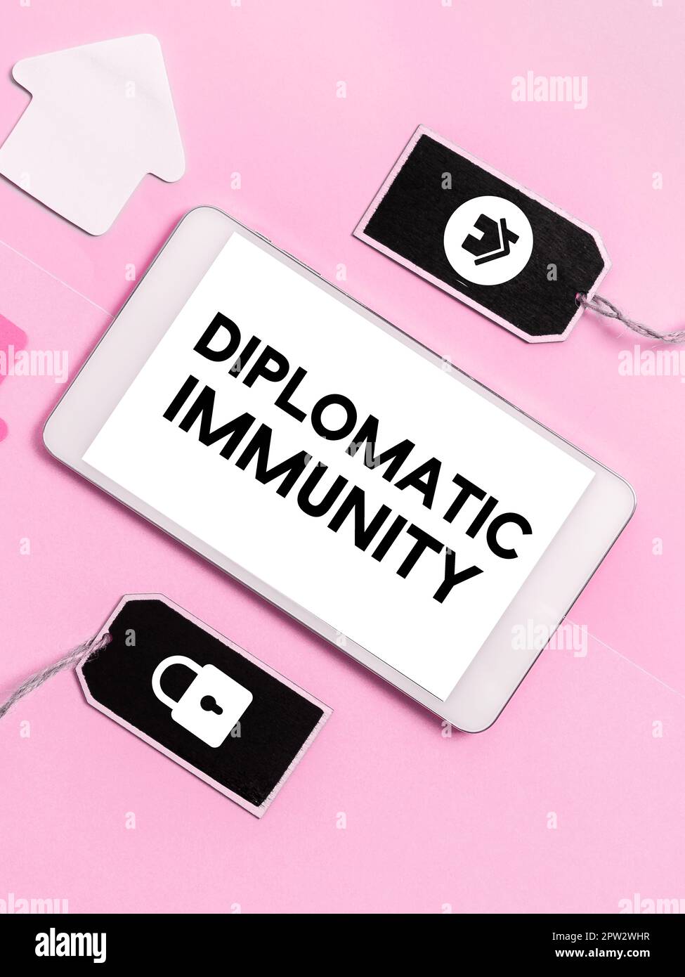 Text sign showing Diplomatic Immunity, Conceptual photo law that gives ...