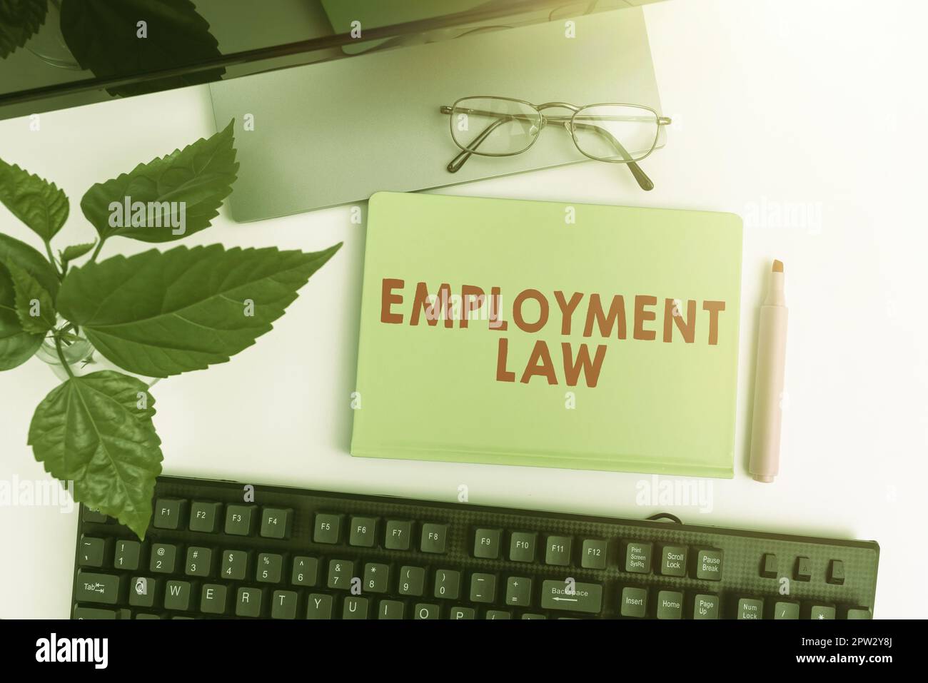 Conceptual caption Employment Law, Concept meaning deals with legal ...