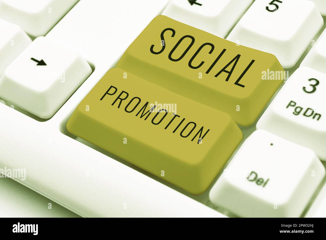 Conceptual caption Social Promotion, Concept meaning promoting a child ...