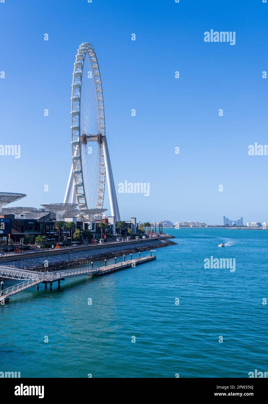 Ain Dubai or Dubai Eye Observation Wheel on BlueWaters Island off the ...