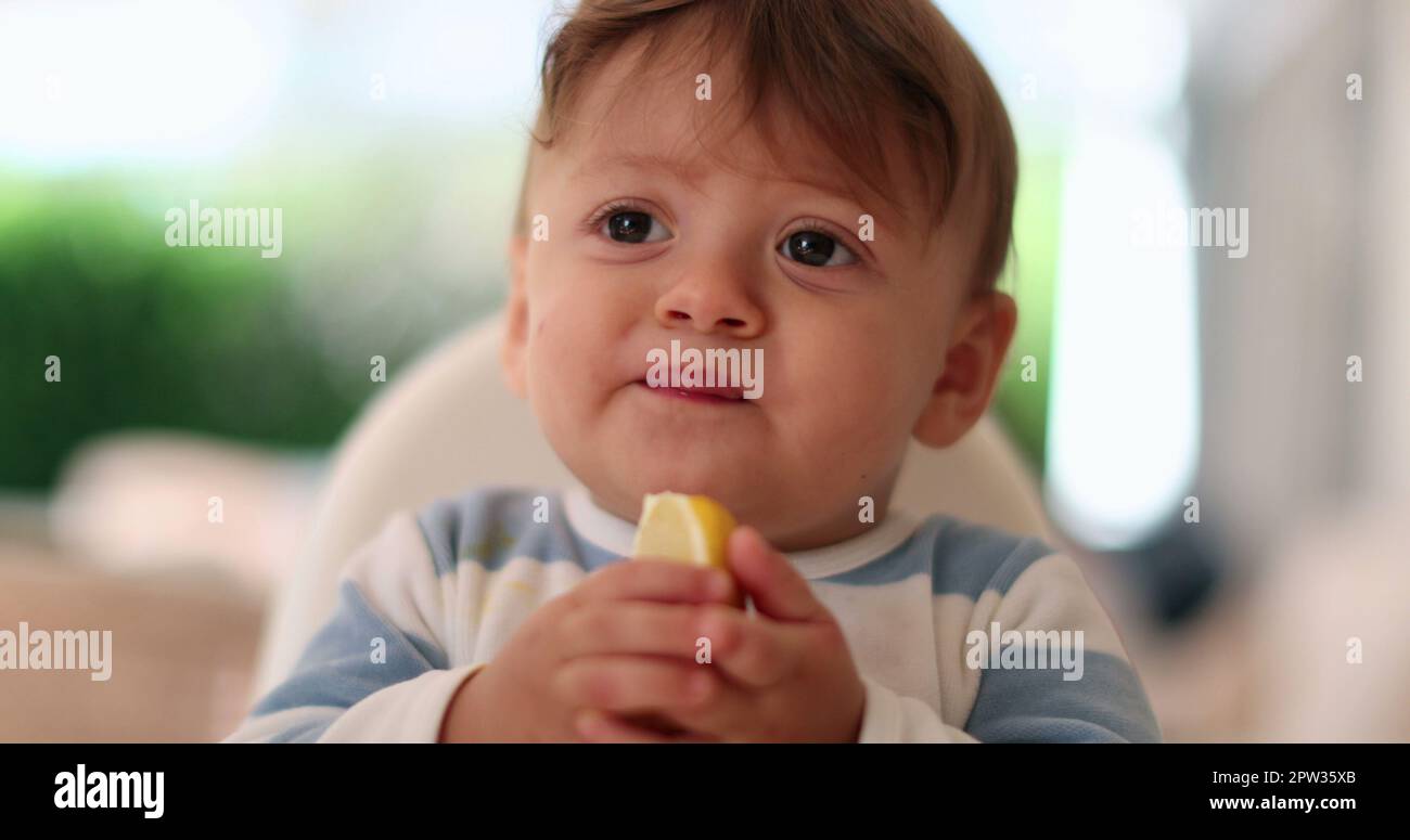 Baby infant trying lemon fruit Stock Photo - Alamy