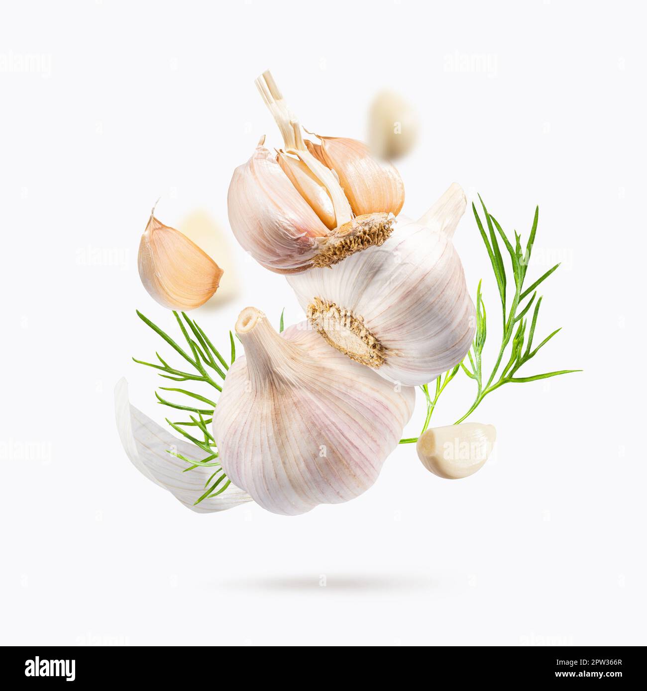Flying in air garlic isolated on light gray background. Levitate Garlic ...
