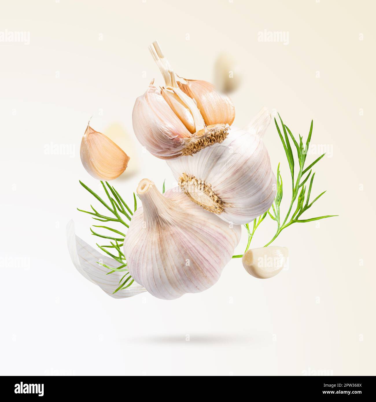 Protection clove hi-res stock photography and images - Alamy