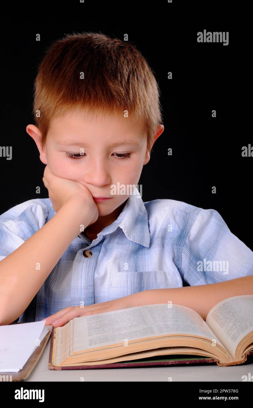 Young boy hard at work studying his books Stock Photo - Alamy