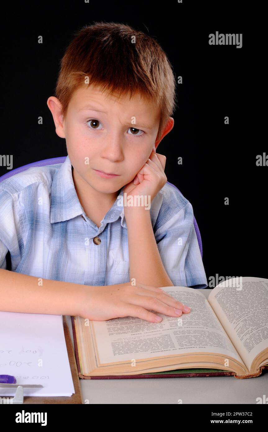 Young boy hard at work studying his books Stock Photo - Alamy