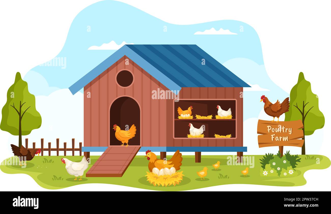 Poultry Farming with Farmer, Cage, Chicken and Egg Farm on Green Field ...