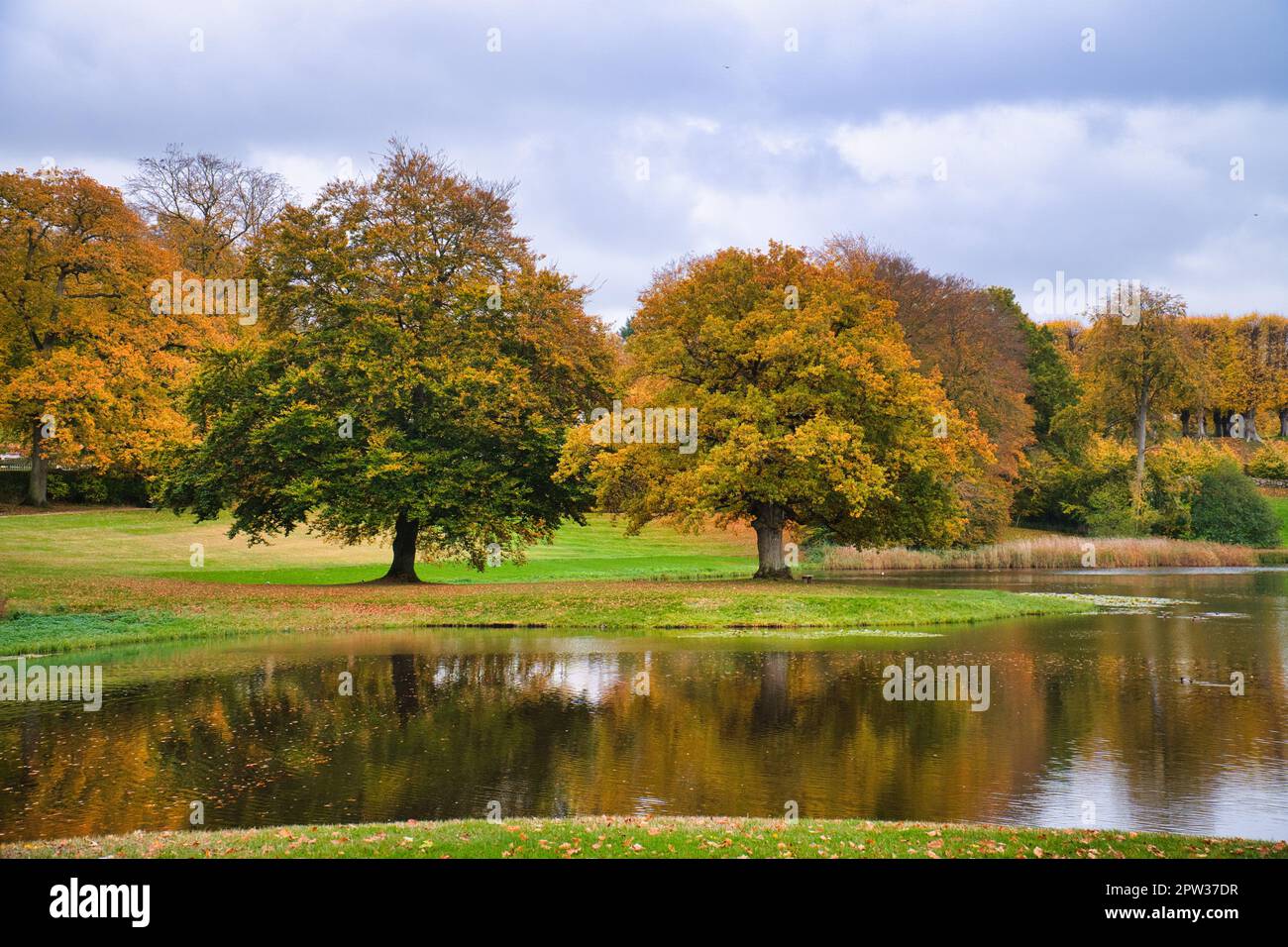Frederiksborg Castle Park in autumn with mighty deciduous trees they ...