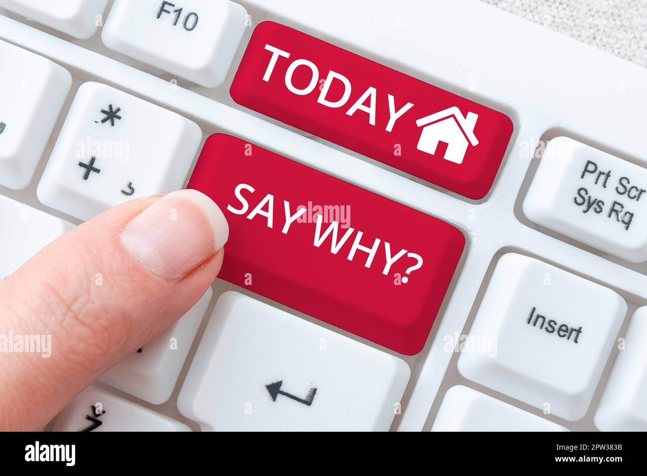 Text caption presenting Say Why, Business showcase Give an explanation ...