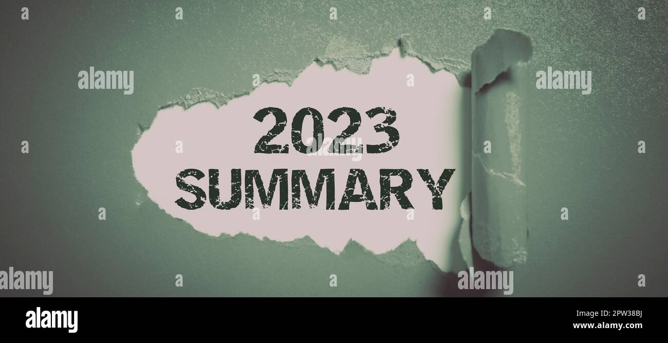 Text showing inspiration 2023 Summary, Business concept summarizing ...