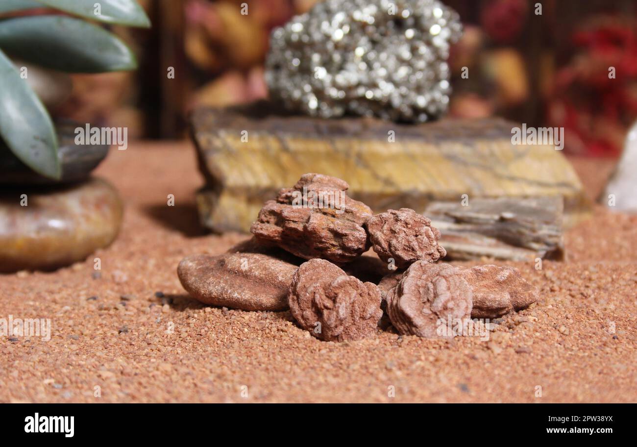 Desert Rose Rocks from Oklahoma on Australian Red Sand With Tigers Eye ...