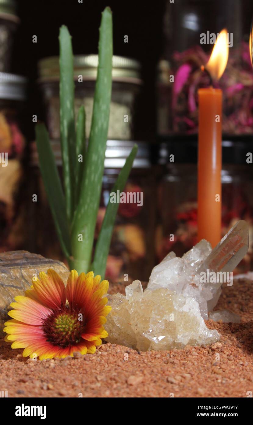 Flower With Pyrite Rocks and Crystals on Australian Red Sand Stock ...
