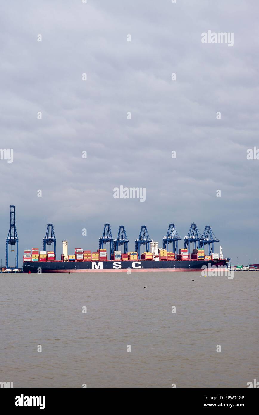 Msc erica hi-res stock photography and images - Alamy