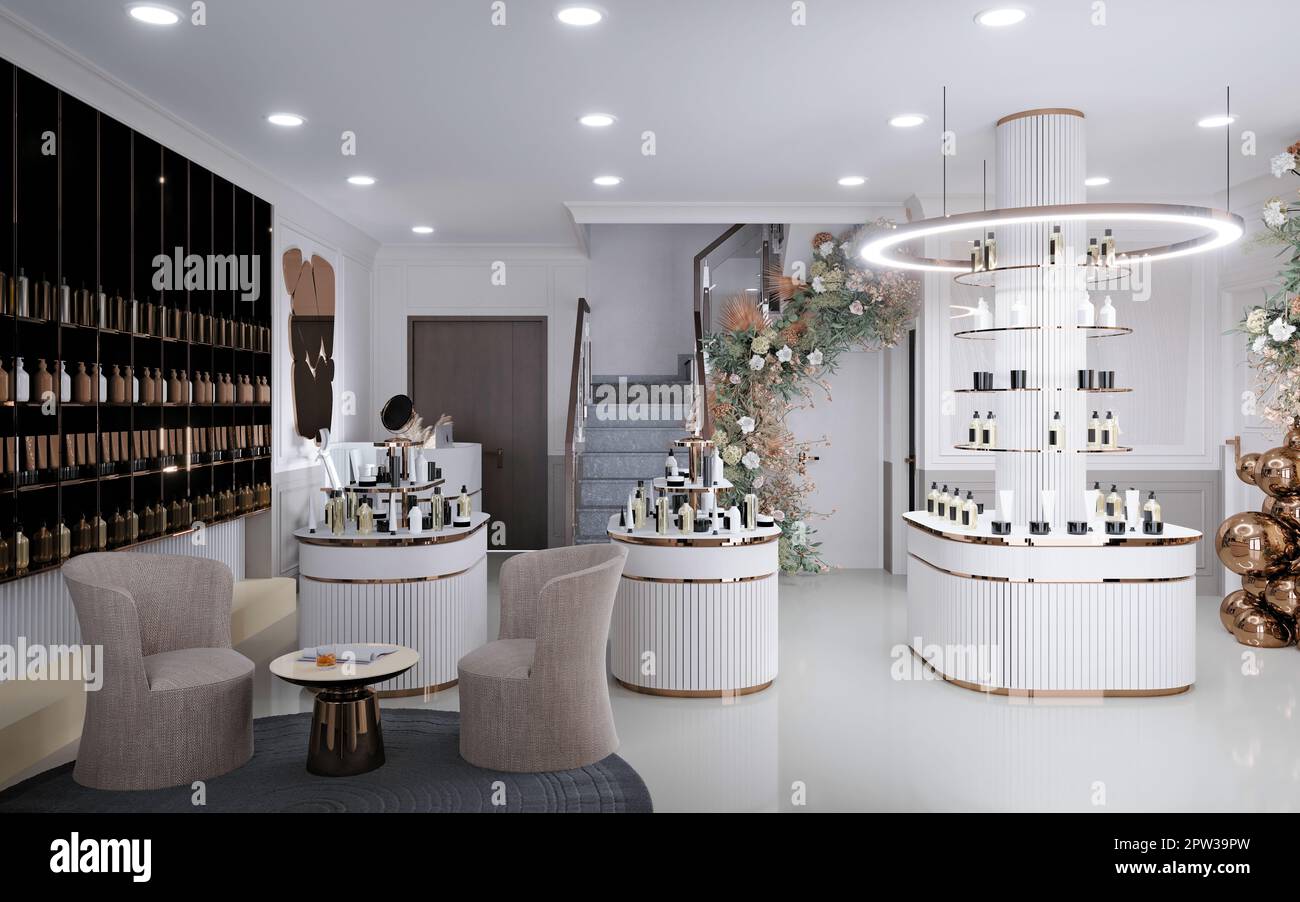 Modern fashion shop, store interior. 3d rendering Stock Photo - Alamy