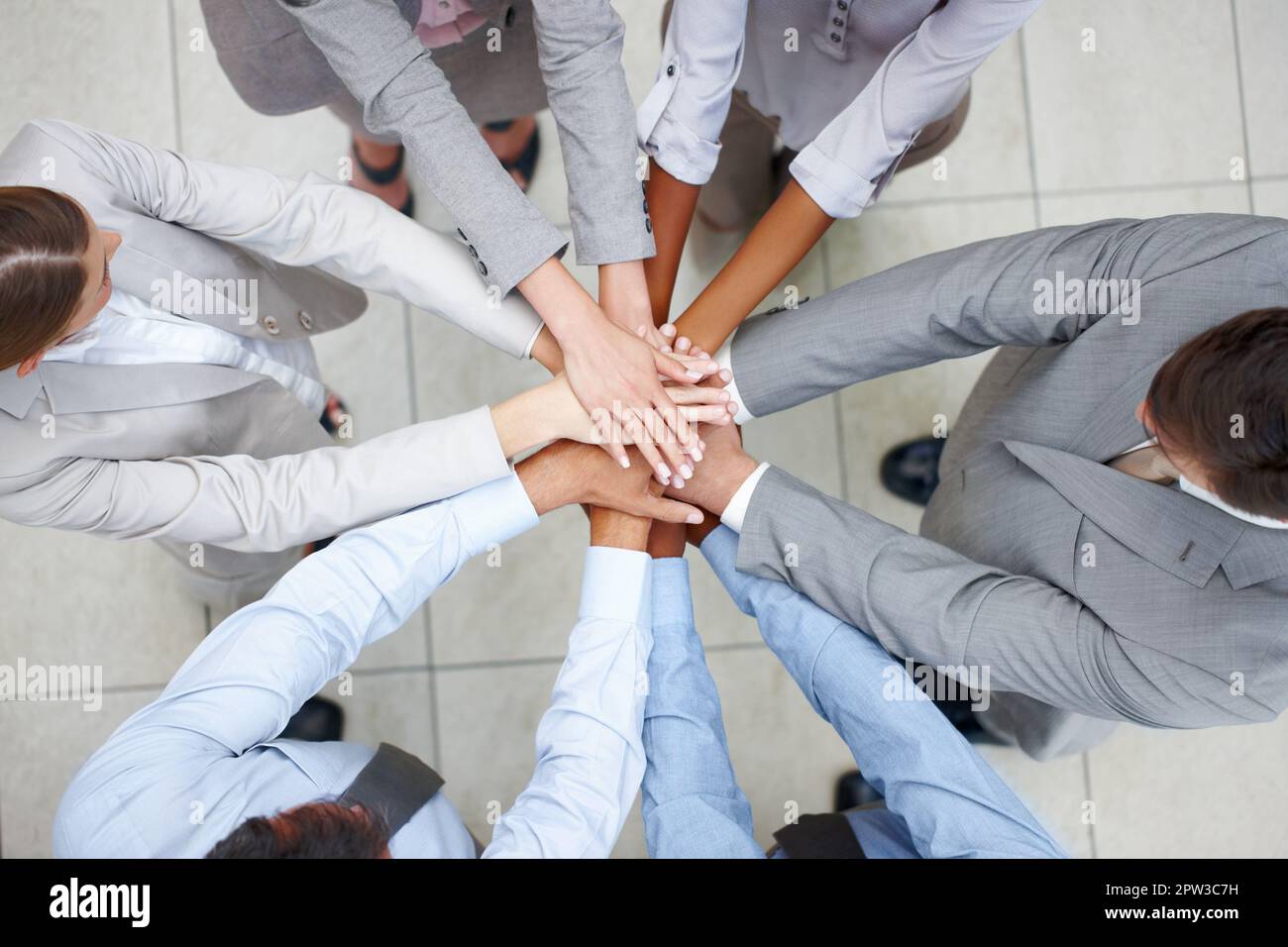 Group business people view birds hi-res stock photography and images ...