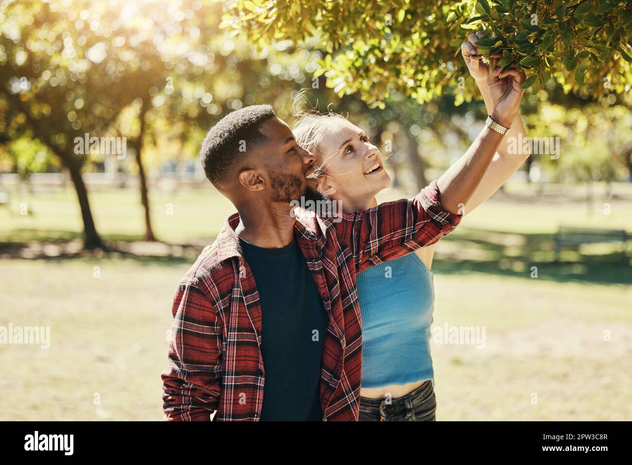 Nature Tree And Couple Picking Fruit In A Field Together While On A Date In The Countryside