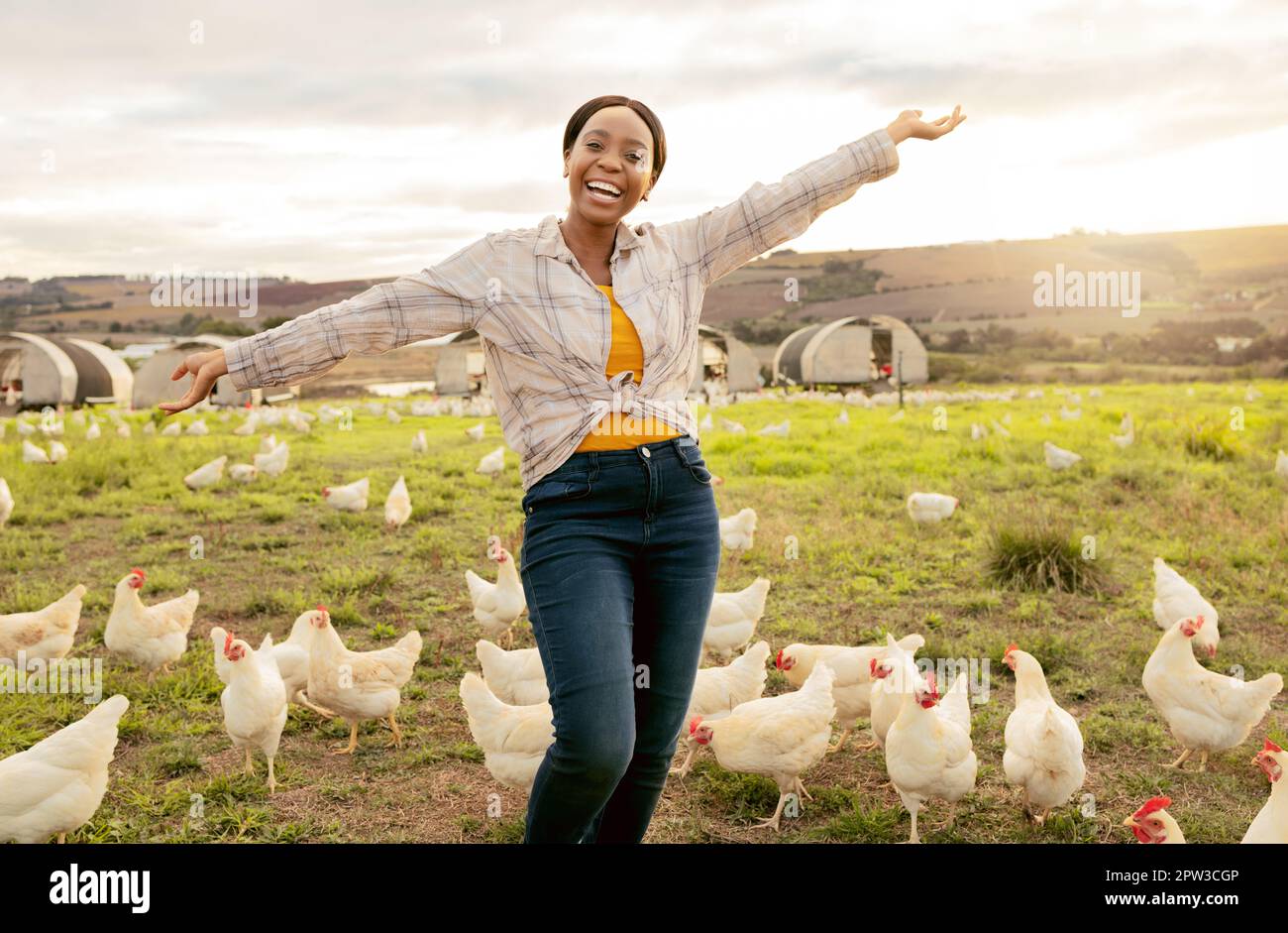 Winner, farm and chickens with a black woman agriculture worker in ...