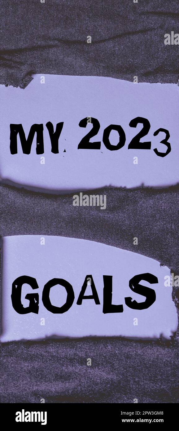 Hand writing sign My 2023 Goals, Business overview setting up personal ...