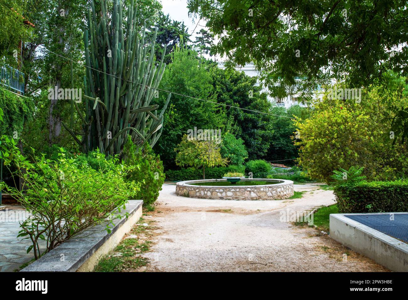View of Botanical Museum of the National Gardens with large cactus in ...