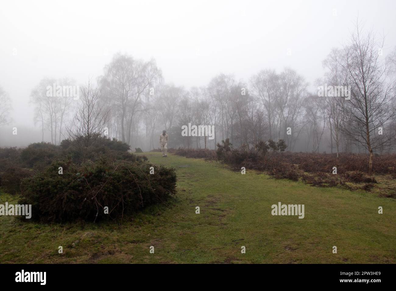 Man walks alone through mist Stock Photo - Alamy