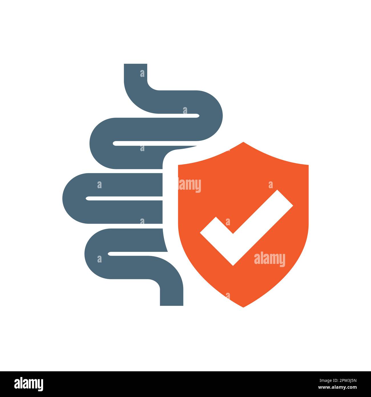 Bowels vector hi-res stock photography and images - Alamy