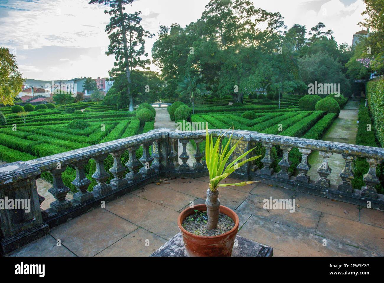 Idyllic view Ajuda Botanical Garden in Lisbon in sunset with topiary ...