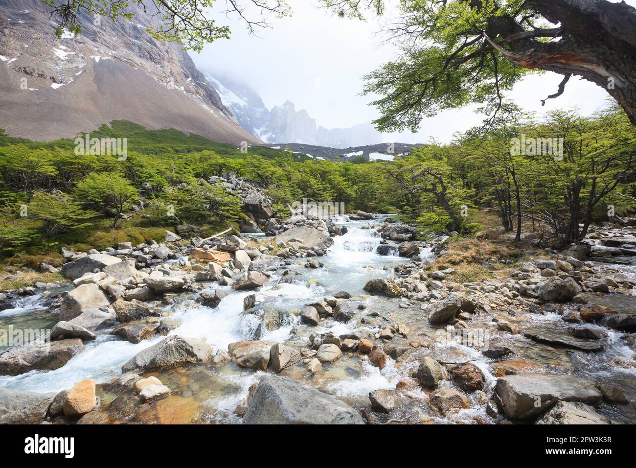 French Valley landscape, Torres del Paine National Park, Chile. Cuernos ...
