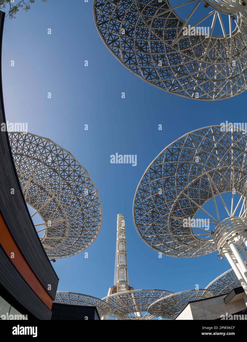 Looking up at Ain Dubai or Dubai Eye Observation Wheel on BlueWaters ...