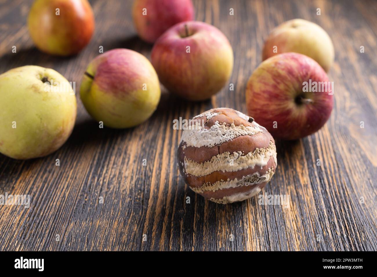 Apple with mold and fresh apple on beige background - mold growth and ...