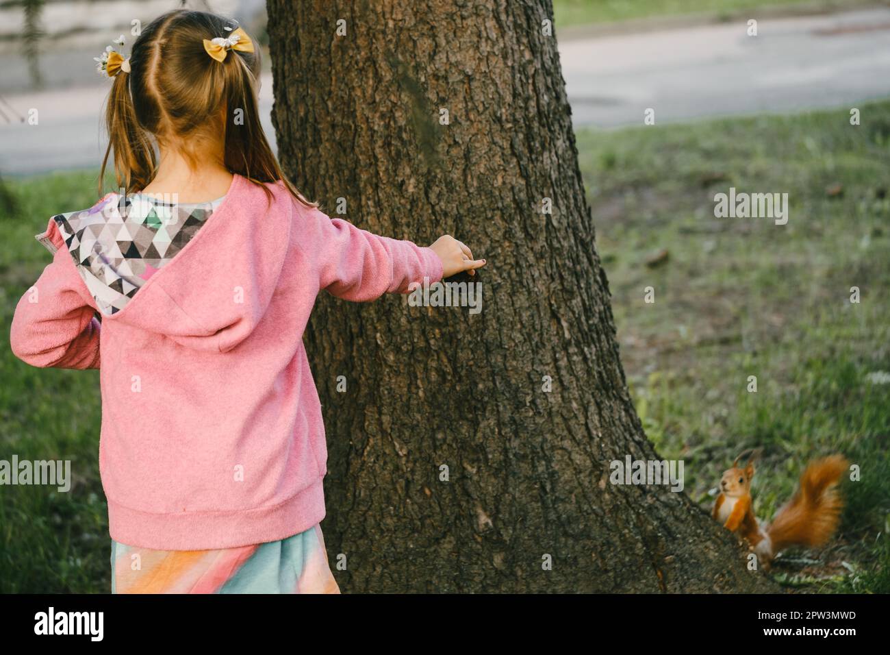Child looking at squirrel in the park. Girl from the back, animal ...