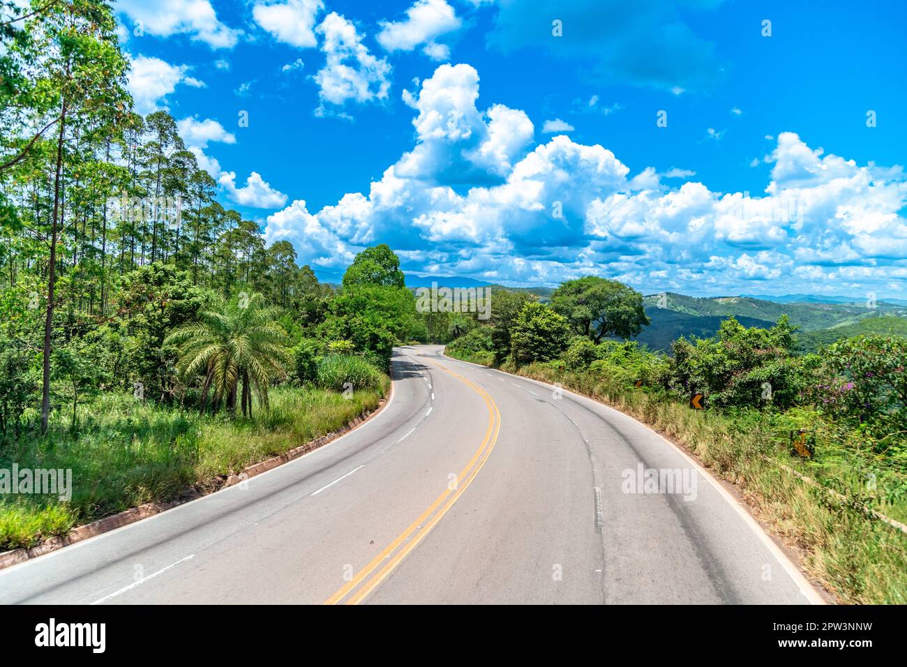 asphalt road in Brazilian nature in South America Stock Photo - Alamy