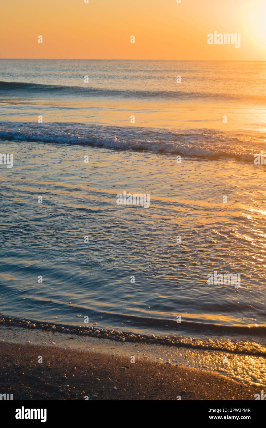 Beautiful summer landscape, sunset at the beach, sparkly sand and waves ...