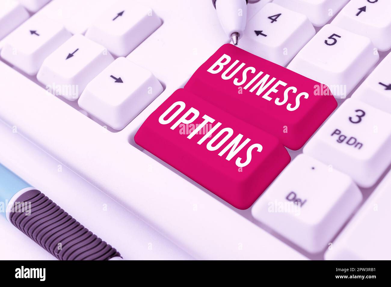 Text showing inspiration Business Options, Word for one thing that can ...