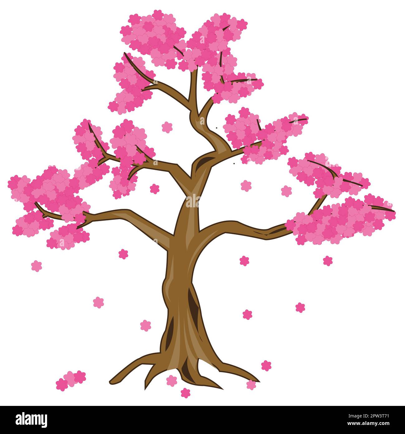 Vector illustration tree sakura during blossom on white background ...