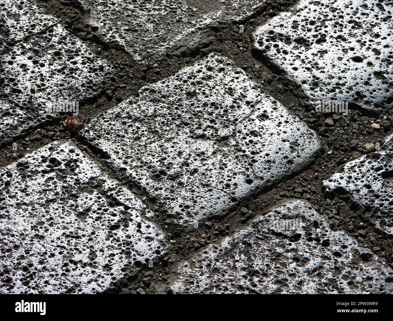 On the street, stones, patterns and structure of a historic cobblestone ...